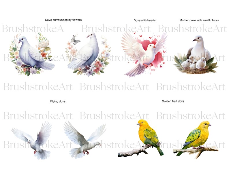 Watercolor Dove Clipart, White Dove Flying, Bird Clipart, the Dove of ...