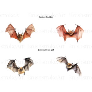 Watercolor Bat Clipart, Cute Bat PNG, Bat Illustrations, Cute Halloween ...