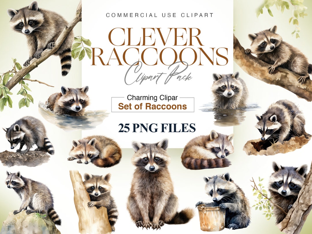 Watercolor Raccoon Clipart, Woodland Animal, Cute Raccoon PNG, Baby ...