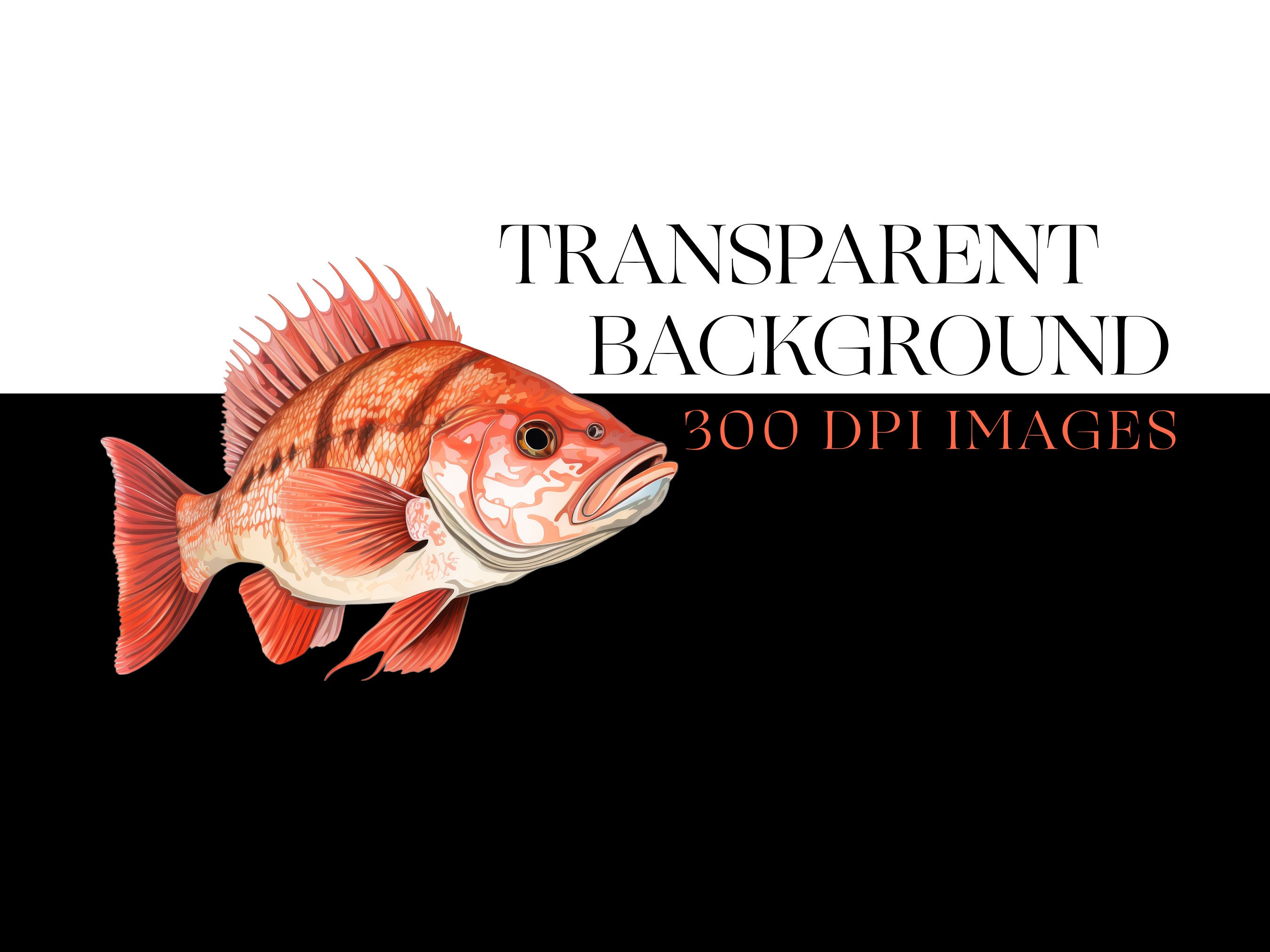 Salt Water Fish Clipart, Salmon, Cod Fish PNG, Watercolor Fish Download ...