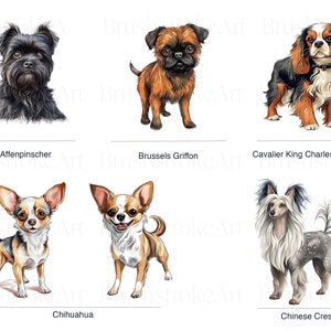 Watercolour Toy Group Dogs Clipart Cute Toy Breeds Images Collection ...