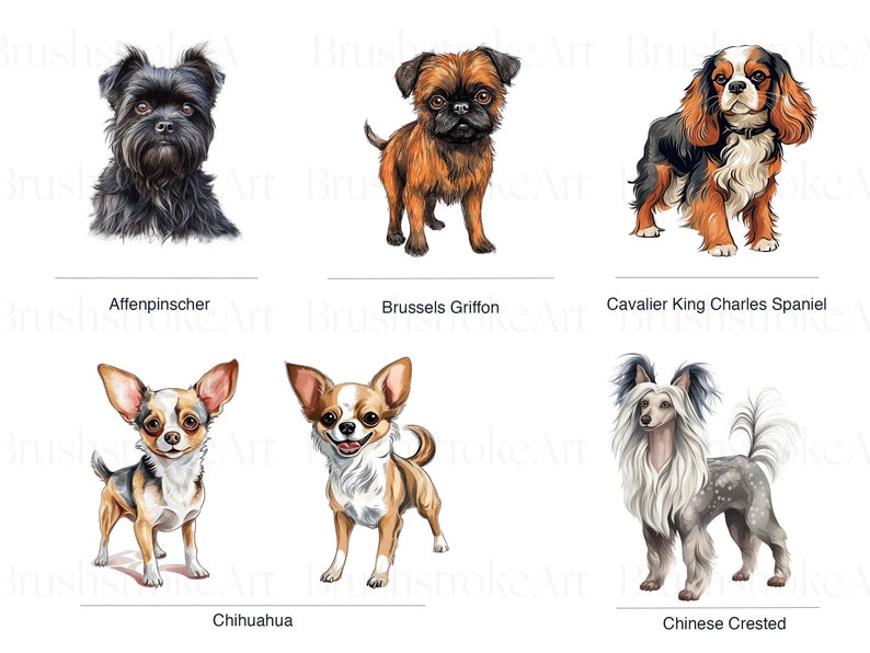 Watercolor Toy Dog Clipart, Cute Breeds PNG Images (digital Download ...
