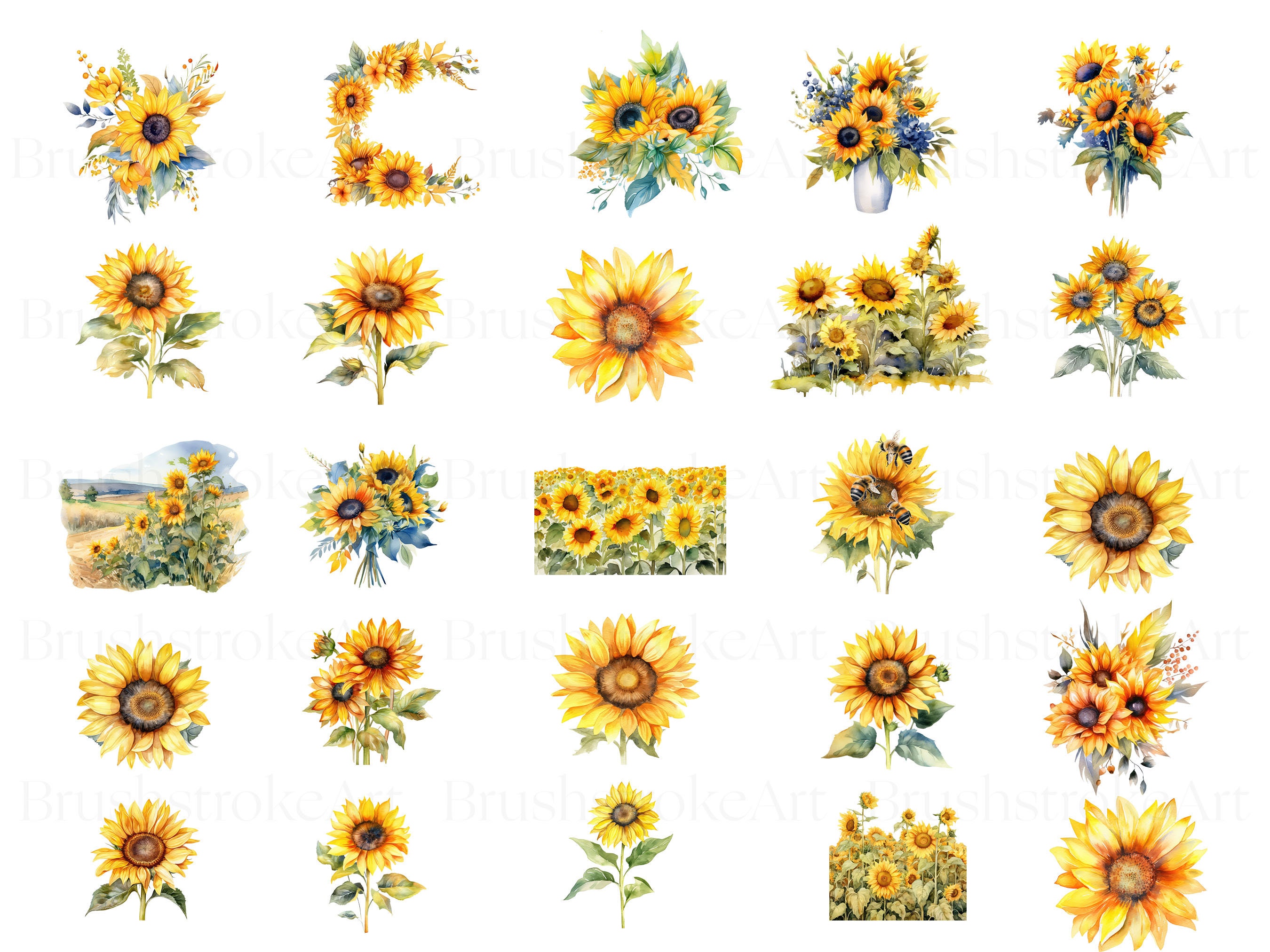 55 Sunflower Watercolour Clipart Pack , Collection of Sunflower Clipart ...