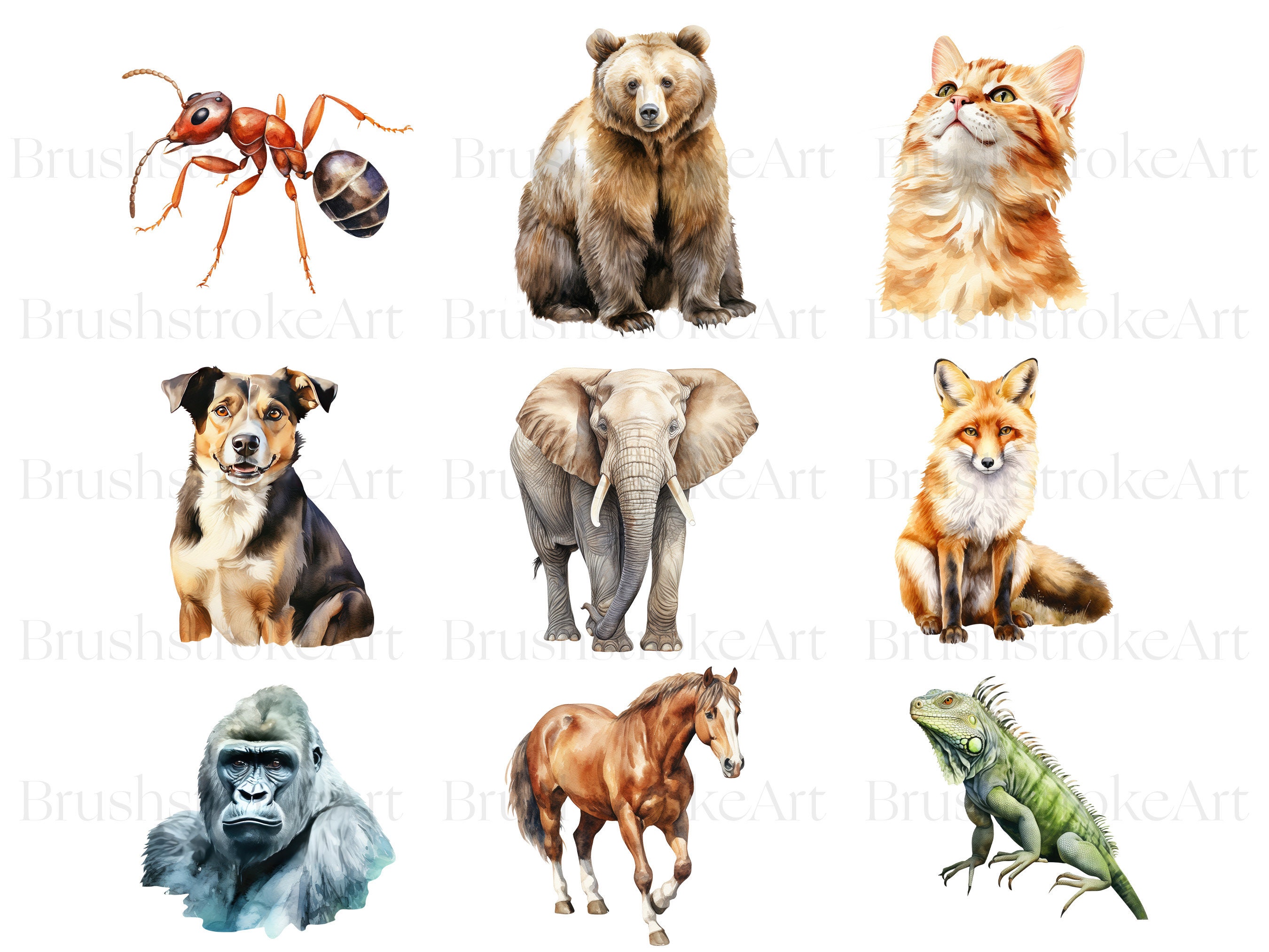 Watercolor A-Z Animals Alphabet Zoo Animals Fox Bear Lion - Etsy