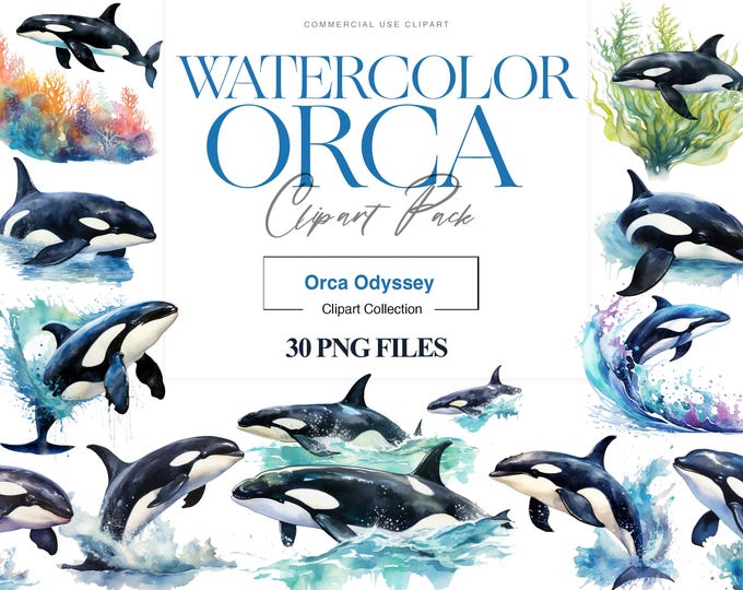 Killer Whale Clipart, Orca Images, 10 Watercolor Clip Art, Printable ...