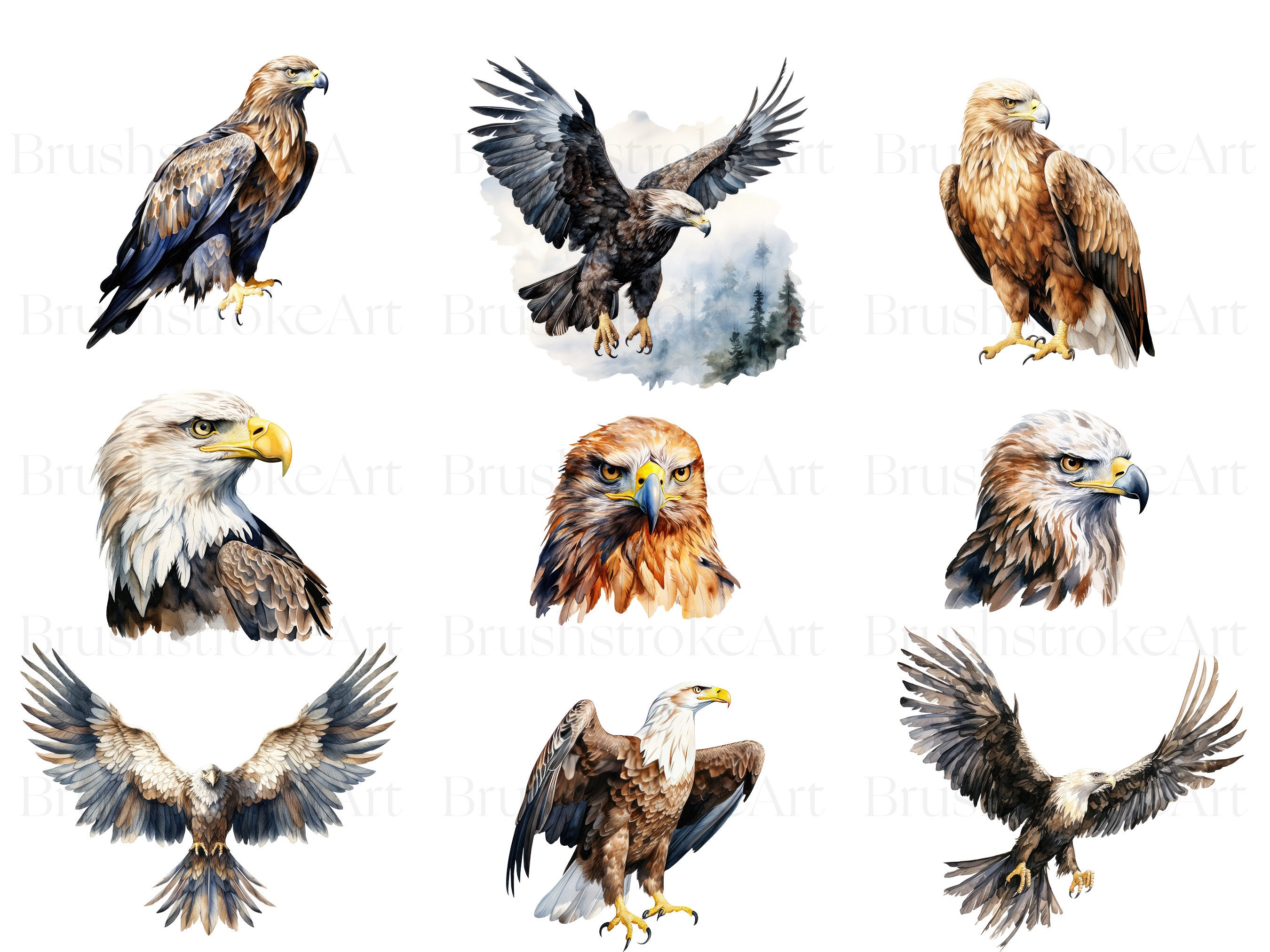 Watercolor Eagle Clipart, American, Bald Eagle, Head, American Symbol ...