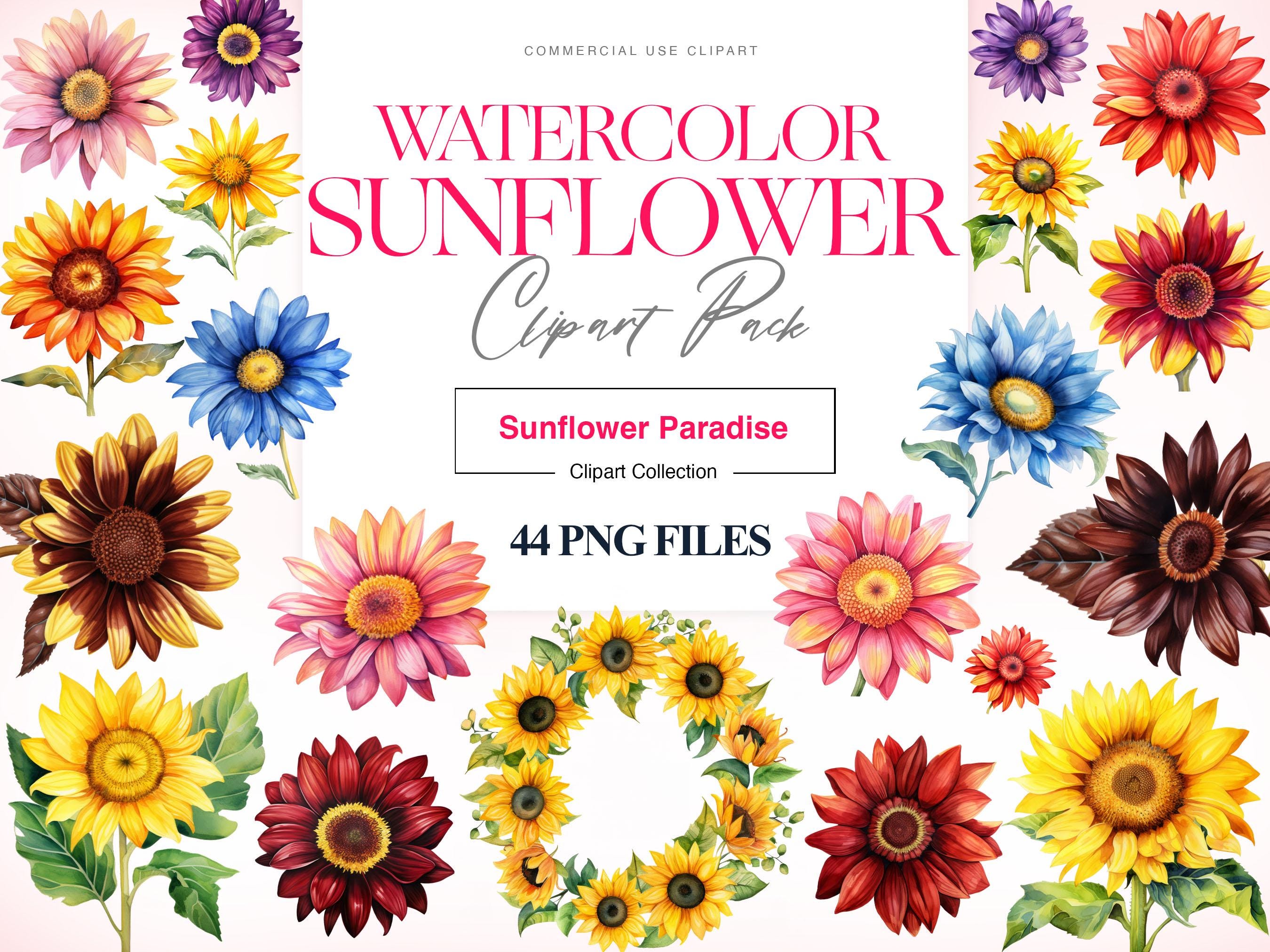 Watercolor Sunflower Clipart, Yellow Sunflower, Fall Flower Clipart ...