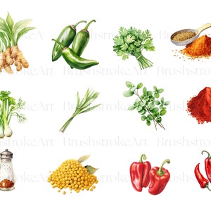 Watercolor Herbs and Spices, Cooking Clipart, Culinary Herbs, Mint ...