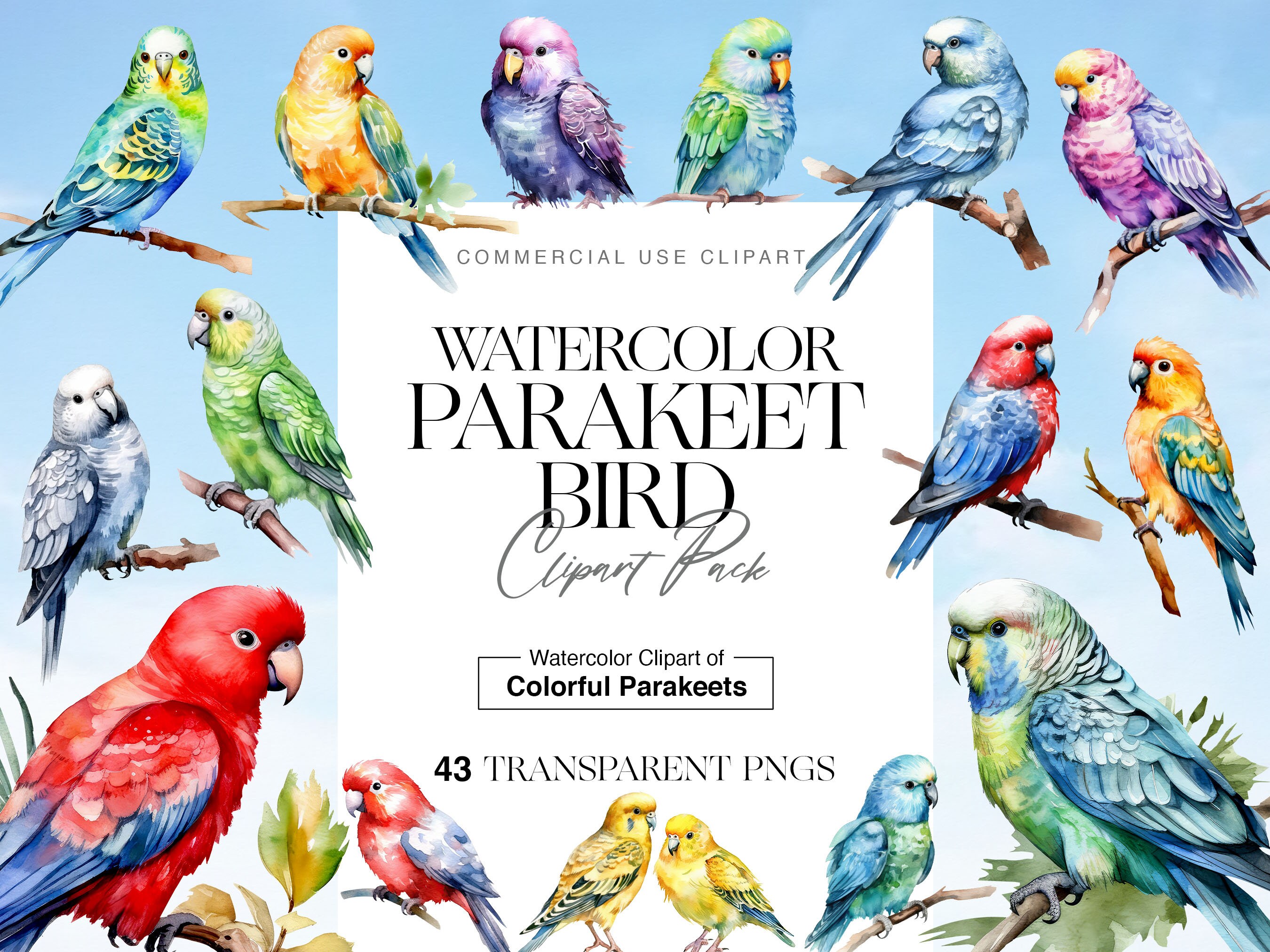 43 Parakeet Clipart Jungle Birds Tropical Birds Watercolor - Etsy