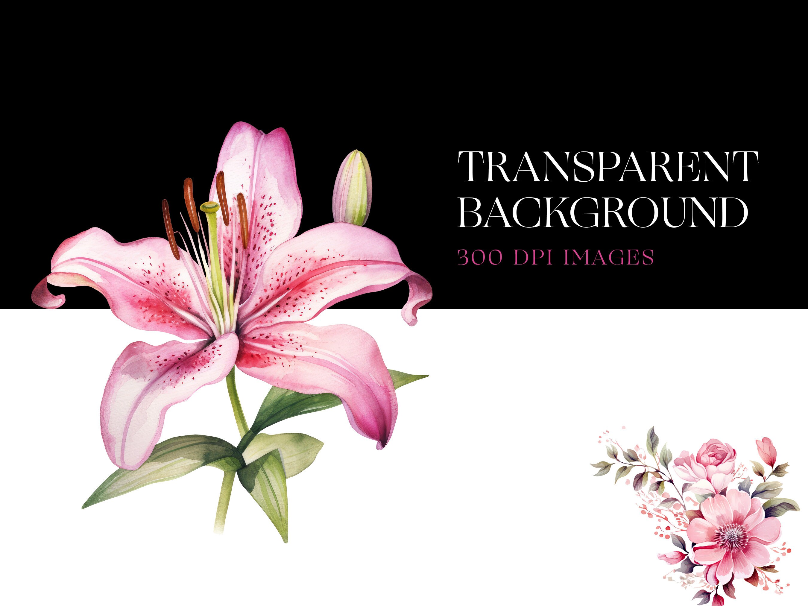 Pink Flower Clipart Pack: Watercolor Floral PNG Images for - Etsy