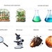 Science Clipart, Chemistry, Lab Clipart, Test Tubes, Science PNG ...