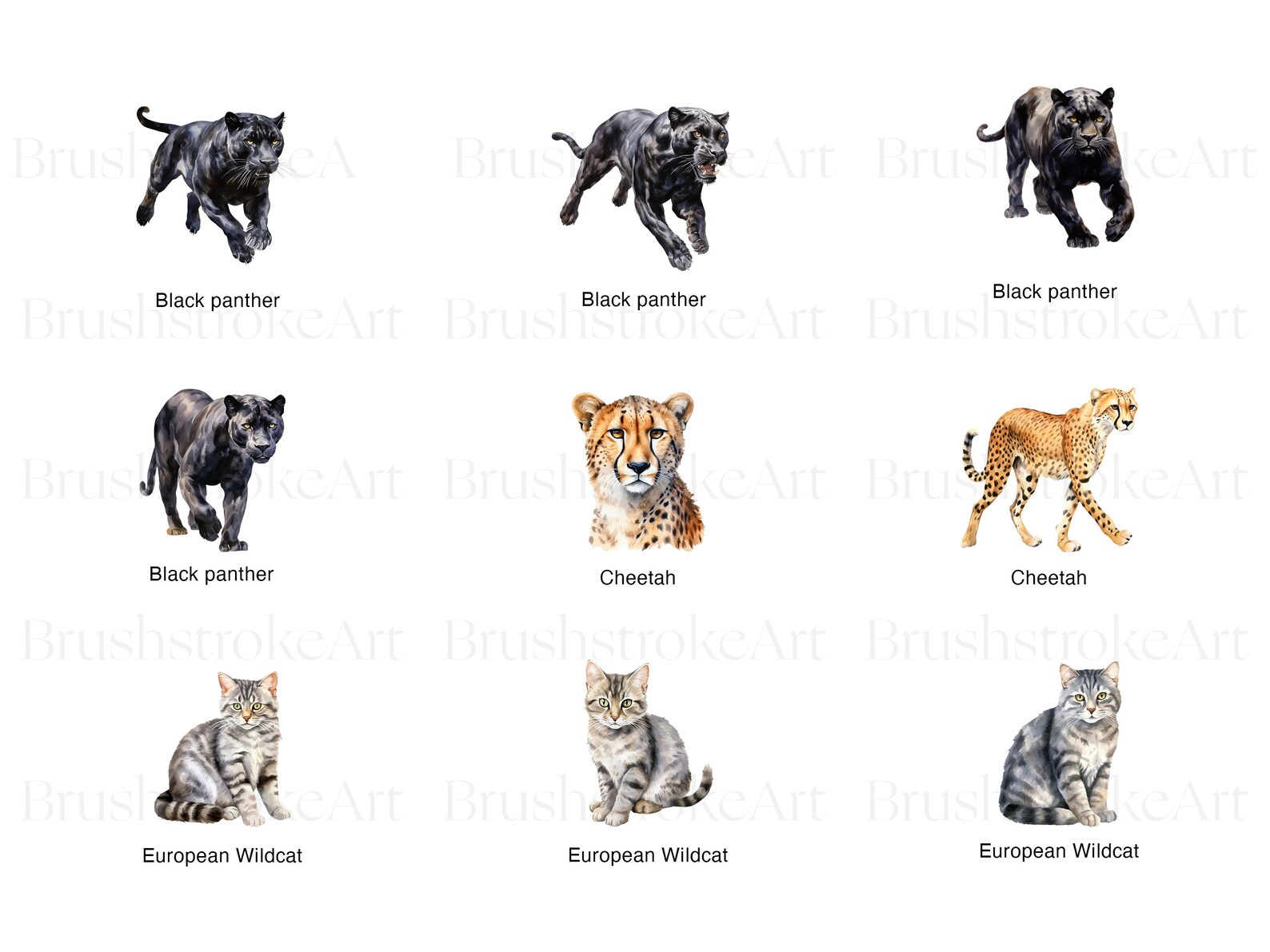 Wild Cat Clipart, African Animals PNG, Lion Clipart, Tiger PNG, Black ...