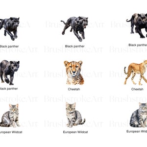 Wild Cat Clipart, African Animals PNG, Lion Clipart, Tiger PNG, Black ...