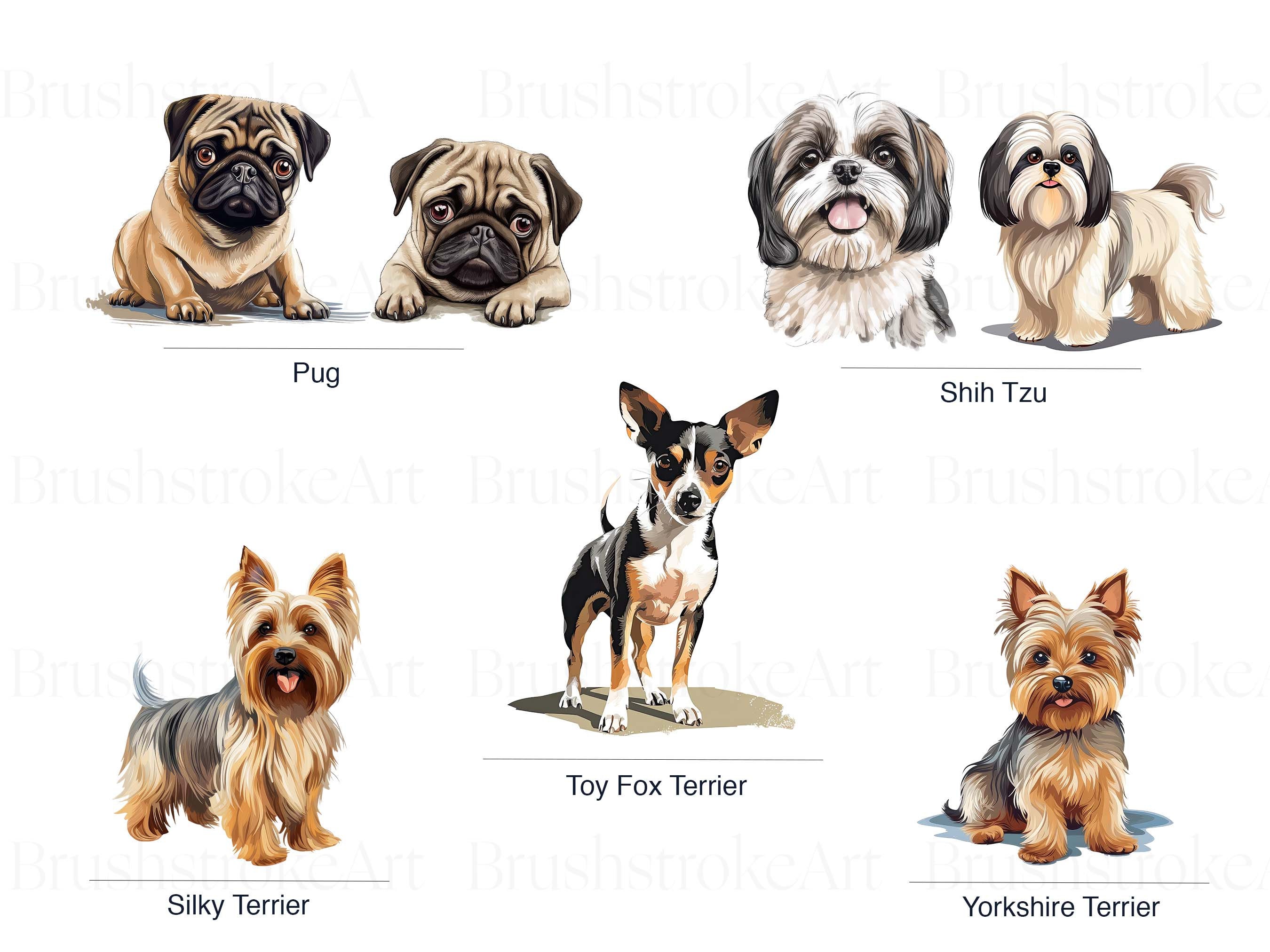 Watercolour Toy Group Dogs Clipart Cute Toy Breeds Images Collection ...