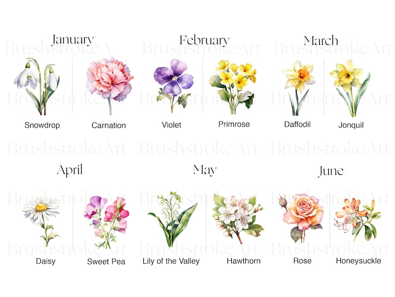 Birth Month Flowers Clipart, Birthday Flower Png, Watercolour Flower ...