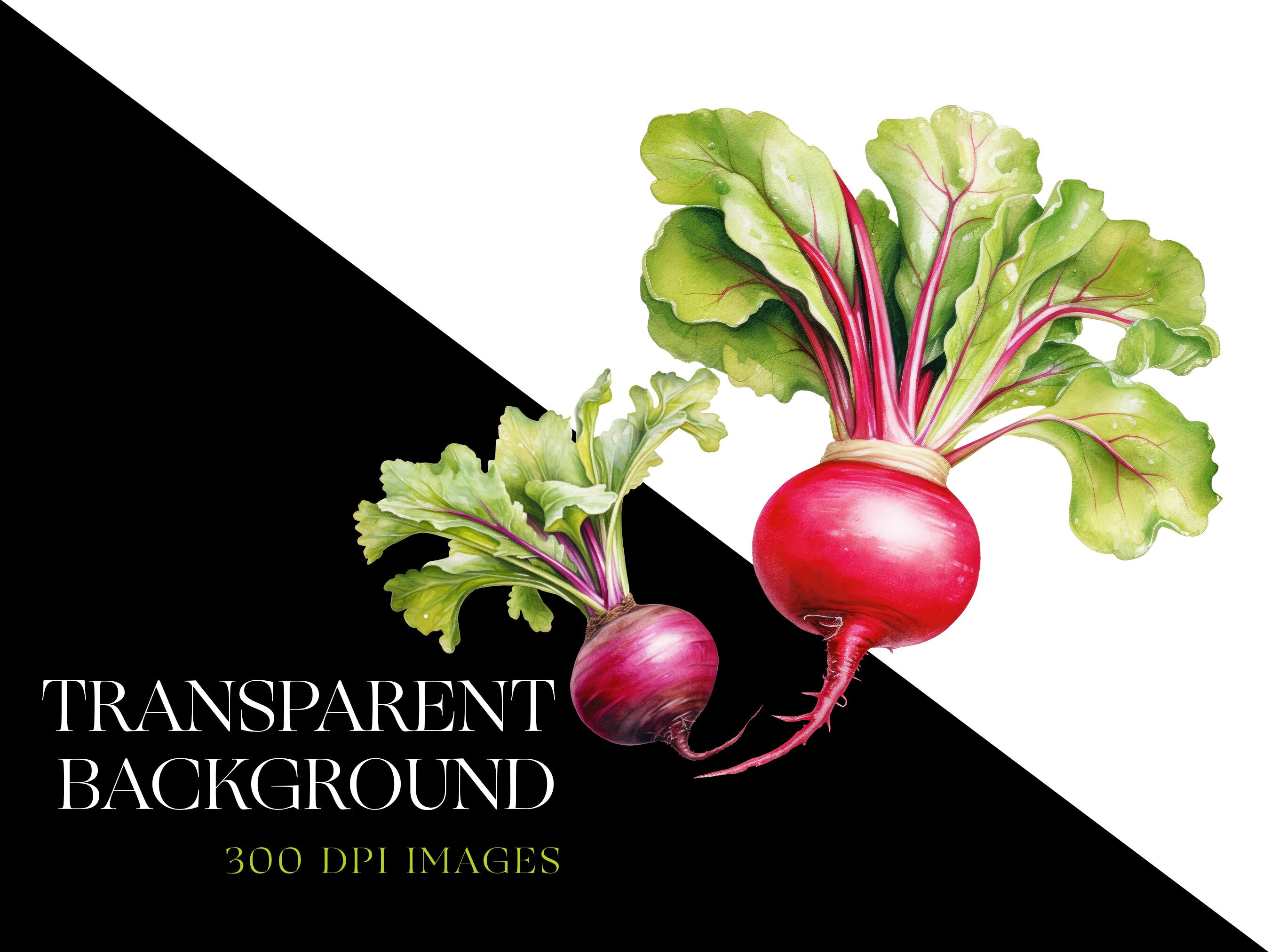 Watercolor Vegetables Clipart, Tomato, Onion, Broccoli, Carrot ...