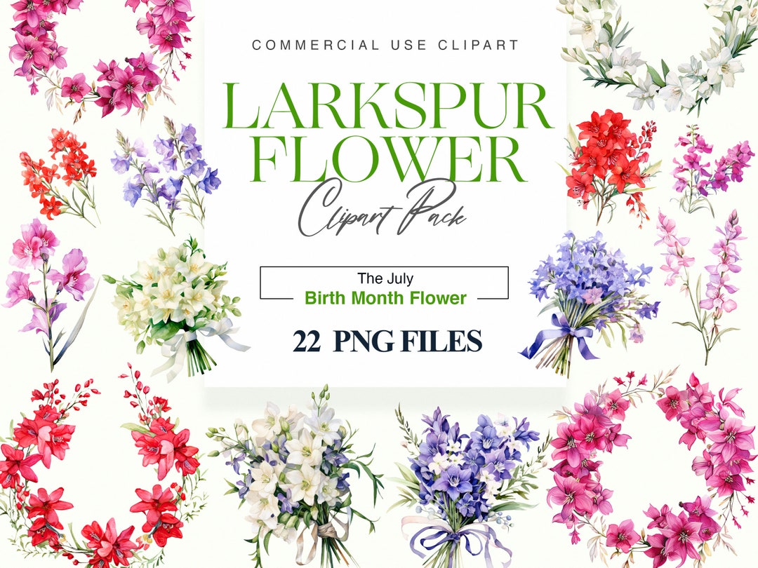Watercolor Larkspur Flower Clipart, July Birth Flower (PNG) - Etsy