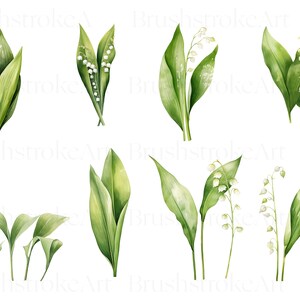 Watercolor Lily of the Valley , Flower Clipart, 36 May Birth Month Flower PNG, Floral Wreath ...