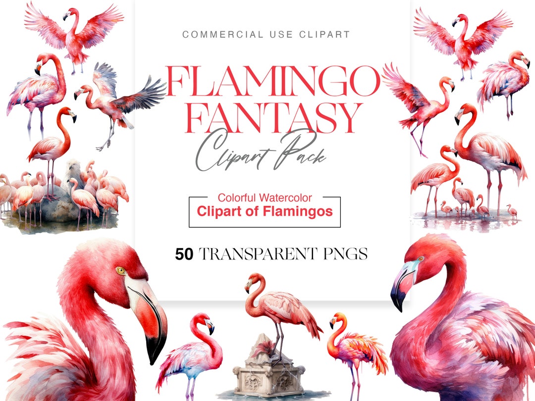 Vibrant Flamingo Watercolor Clipart, Digital PNG Files for Scrapbooking ...