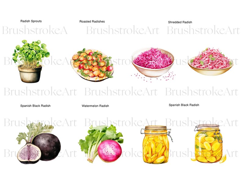 Radish Clipart, Turnip, White Radish, Root Vegetable Clipart, Radish ...