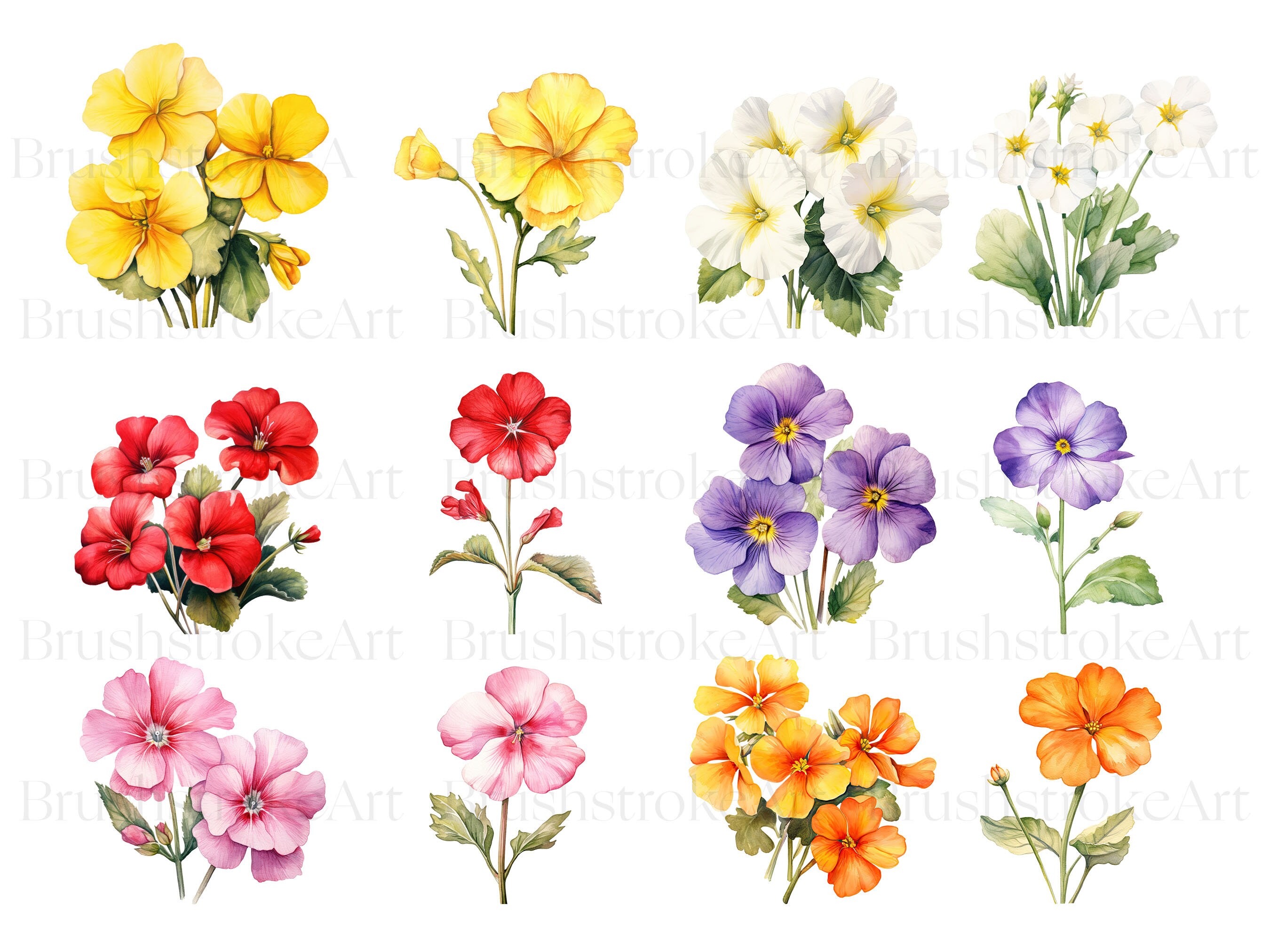 Watercolor Primrose Flower Clipart Birth Month Flower Purple - Etsy