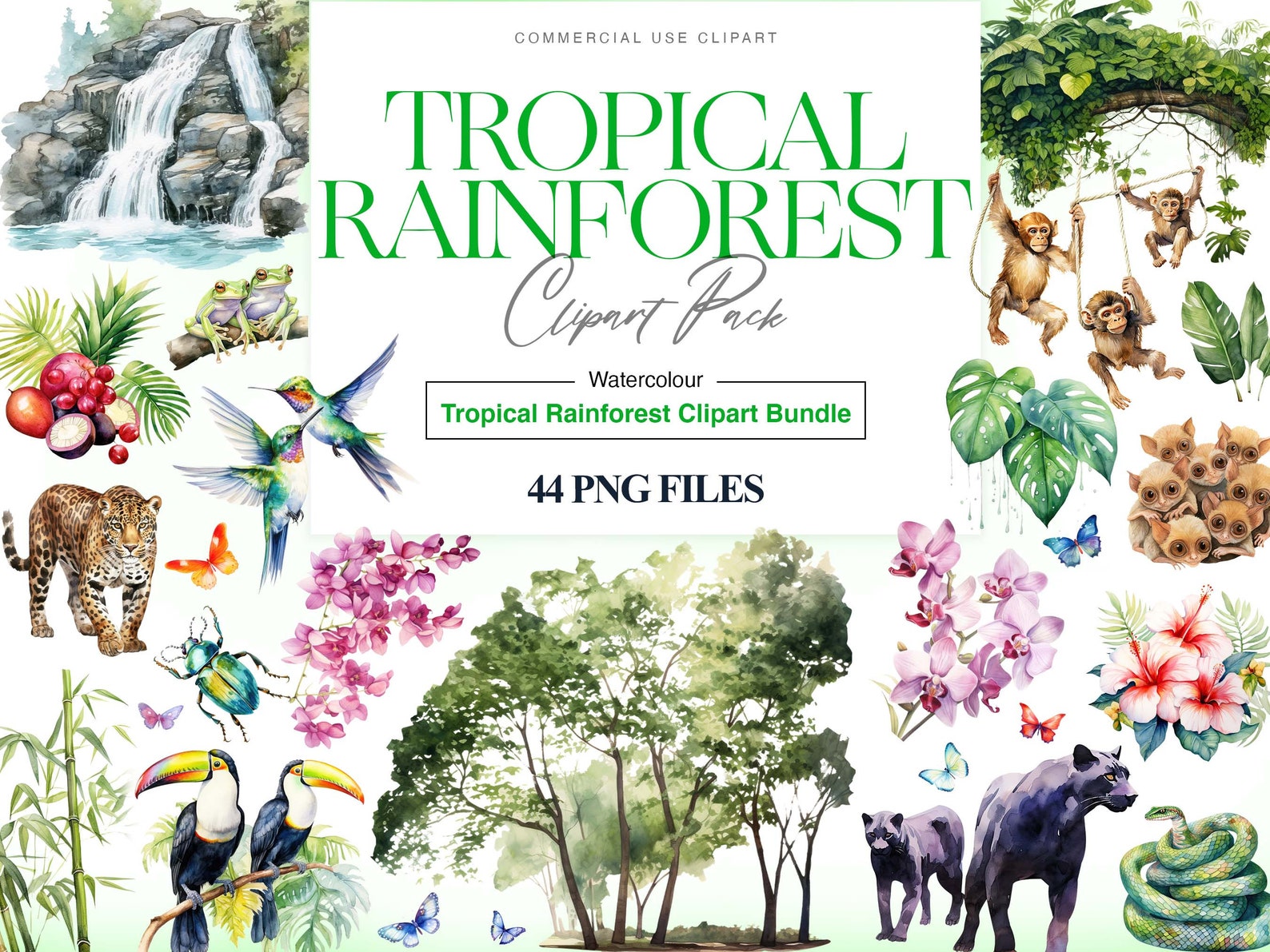 Watercolor Tropical Rainforest Clipart, Tropical Animals, Birds, Parrot ...