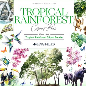 Watercolor Tropical Rainforest Clipart, Tropical Animals, Birds, Parrot ...