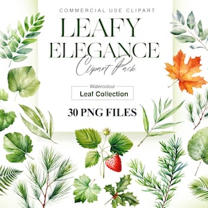 Leaf Clipart Pack: Watercolor Greenery Leaves PNG Images for - Etsy