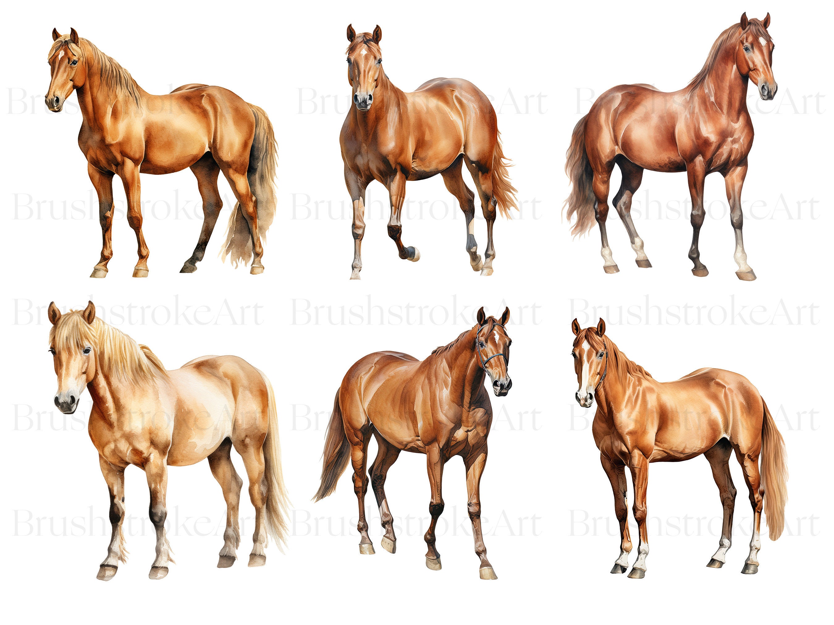 Watercolor Horse Clipart, Farm Animal, Woodland, Nursery, Wall Art ...