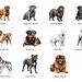 35 Watercolor Working Dogs Clipart, Mighty Taskmasters, Dobermann ...