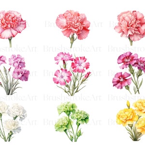 Birthmonth Flower Carnation Clipart, Watercolor Wreath, Bouquet ...