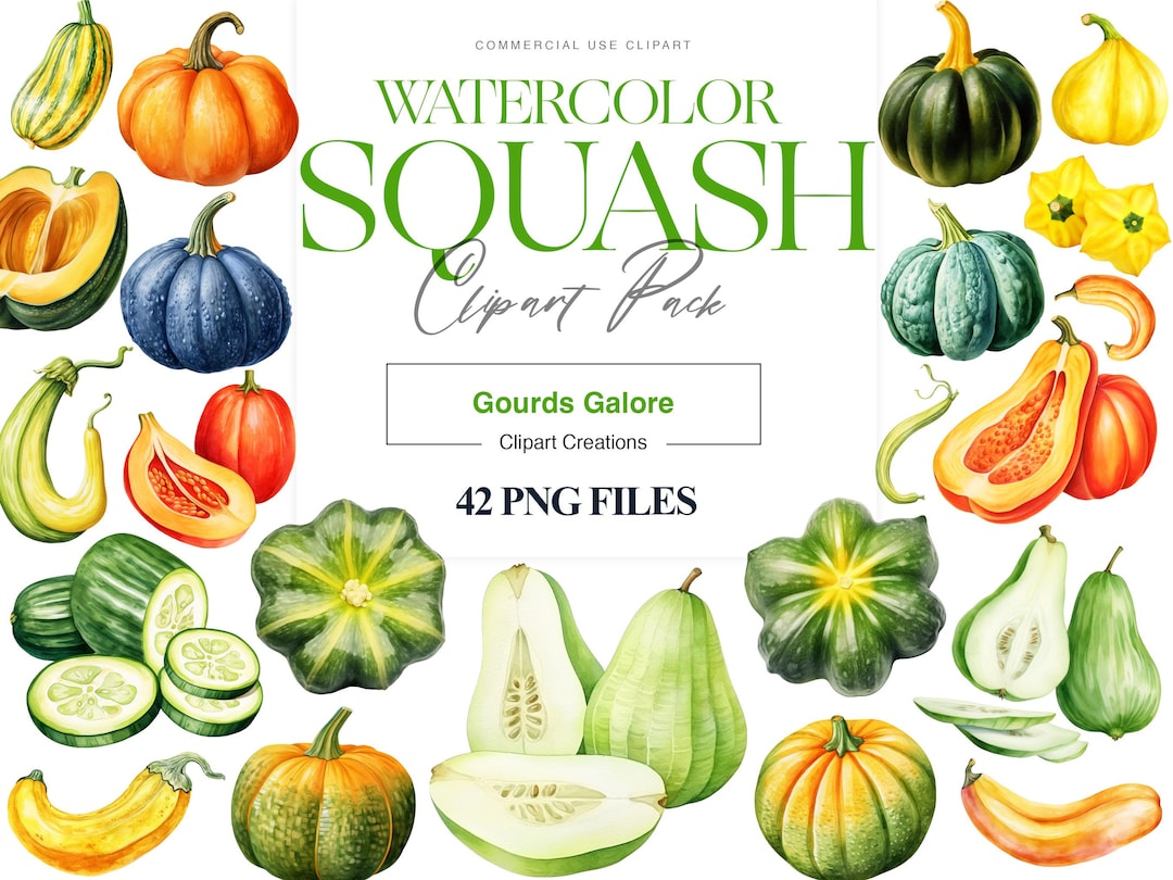 Watercolor Squash Clipart, Pumpkin, Butternut Squashes Clipart, Autumn ...