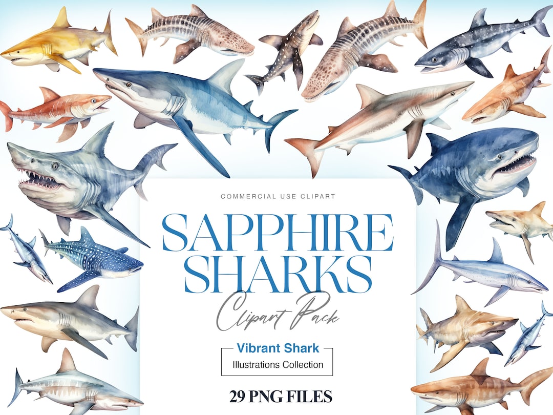Watercolor Shark Clipart, Great White Shark, Marine Life, Nursery ...