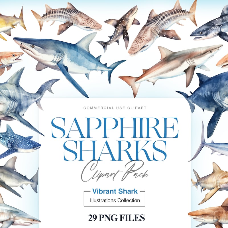 Shark Week Clipart - Etsy