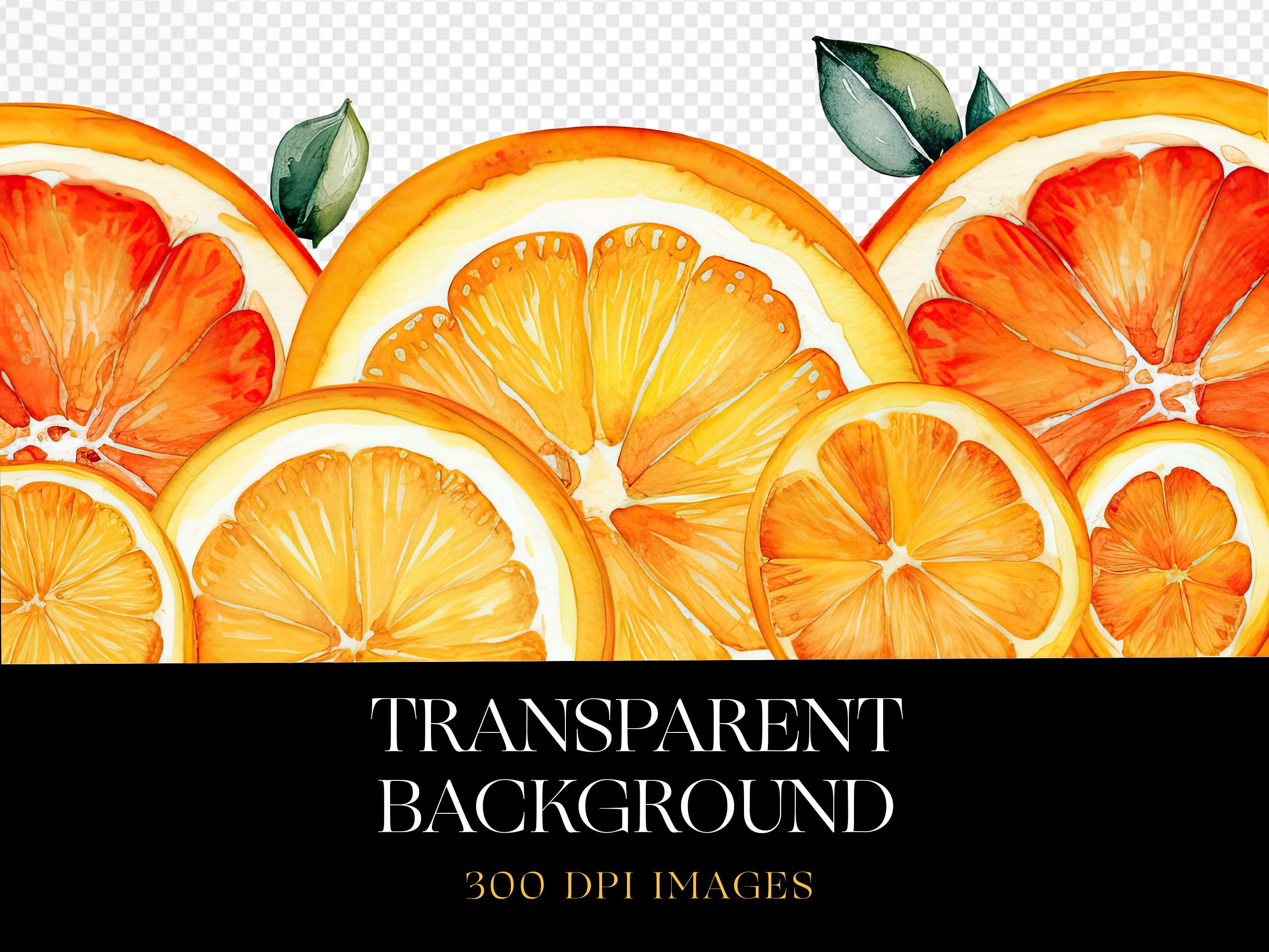 Watercolor Orange Clipart Summer Fruits Clipart Orange - Etsy