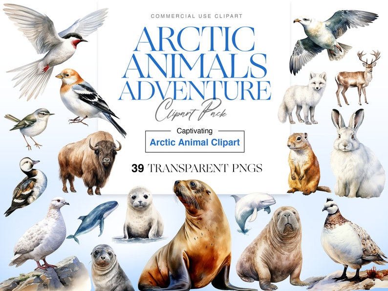 Arctic Animals Clipart Bundle Watercolor Winter PNG Graphics - Etsy UK