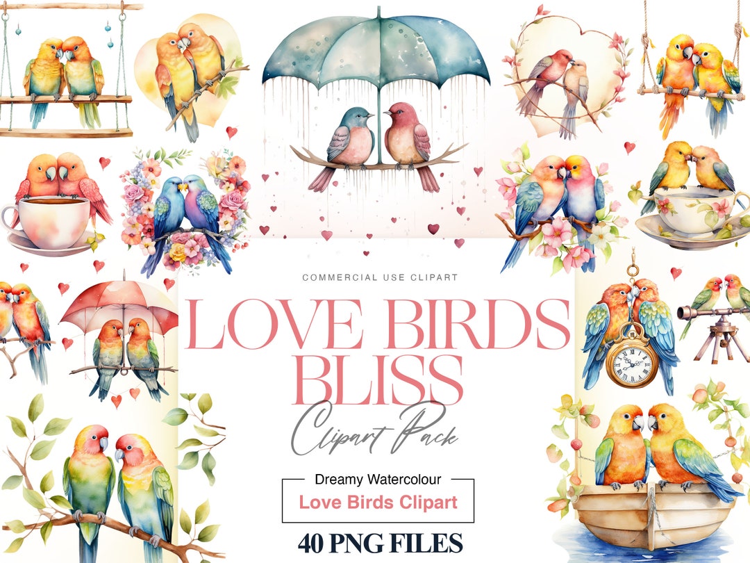 Watercolor Lovebirds Clipart, Valentine's Day Bird, Cute Lovebirds PNG ...
