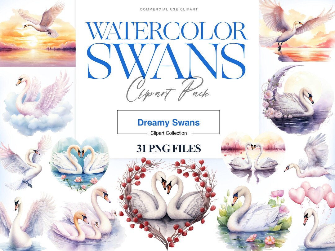 Watercolor Swan Clipart, Baby Swan PNG, Bird Clipart, White Swan in ...