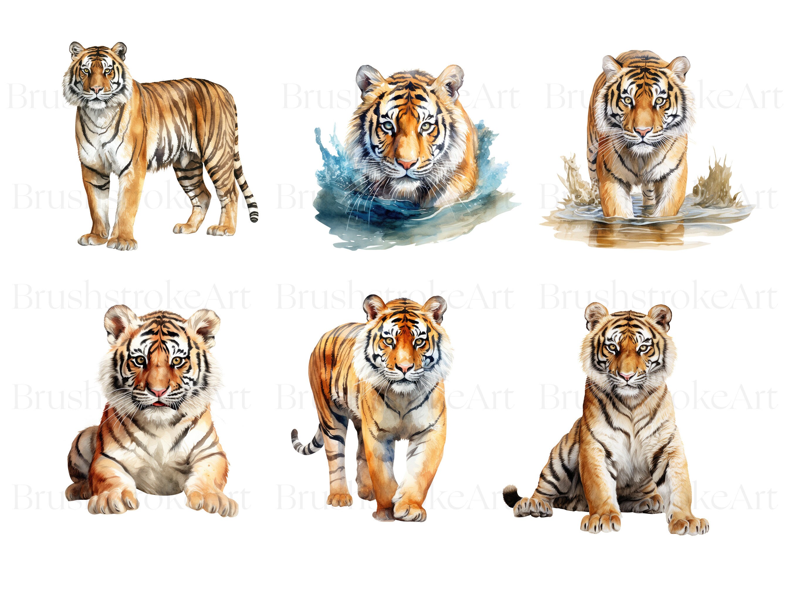 Watercolor Tiger Clipart, Tiger PNG, Watercolor Animal Art, Jungle ...