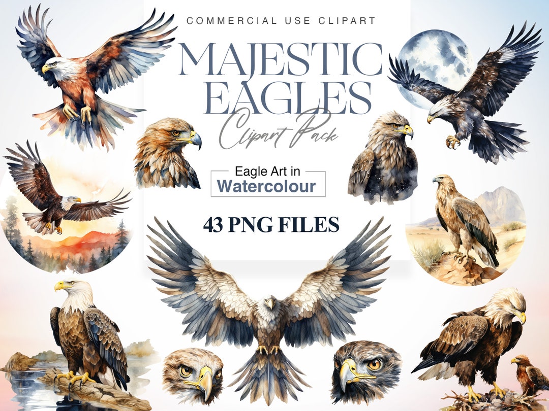 Watercolor Eagle Clipart, American, Bald Eagle, Head, American Symbol ...