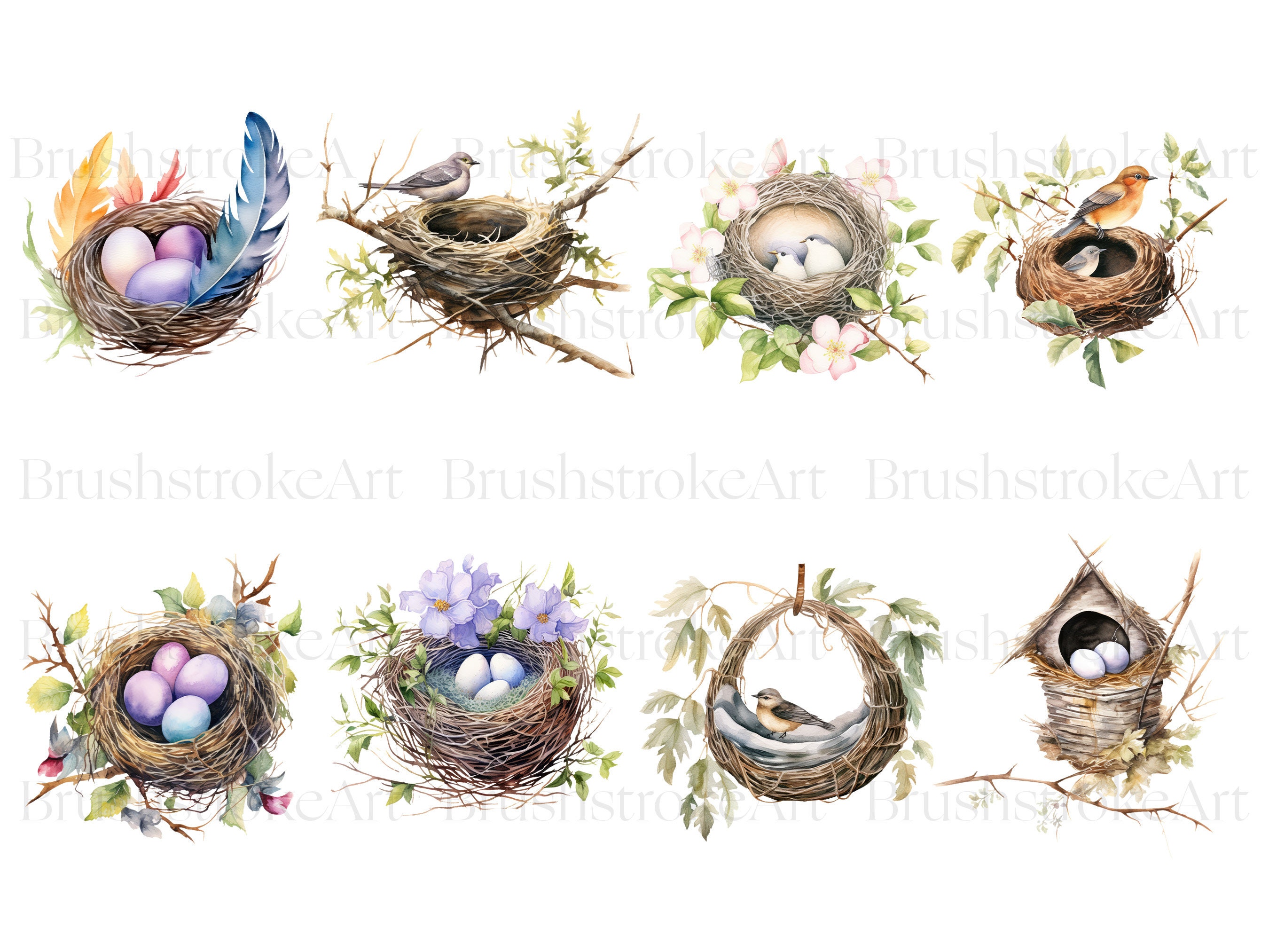40 Watercolor Bird Nest Clipart, Watercolor Bird House Clipart, Eggs in ...