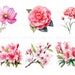 Pink Flower Clipart Pack: Watercolor Floral PNG Images for - Etsy