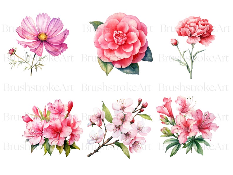 Pink Flower Clipart Pack: Watercolor Floral PNG Images for - Etsy