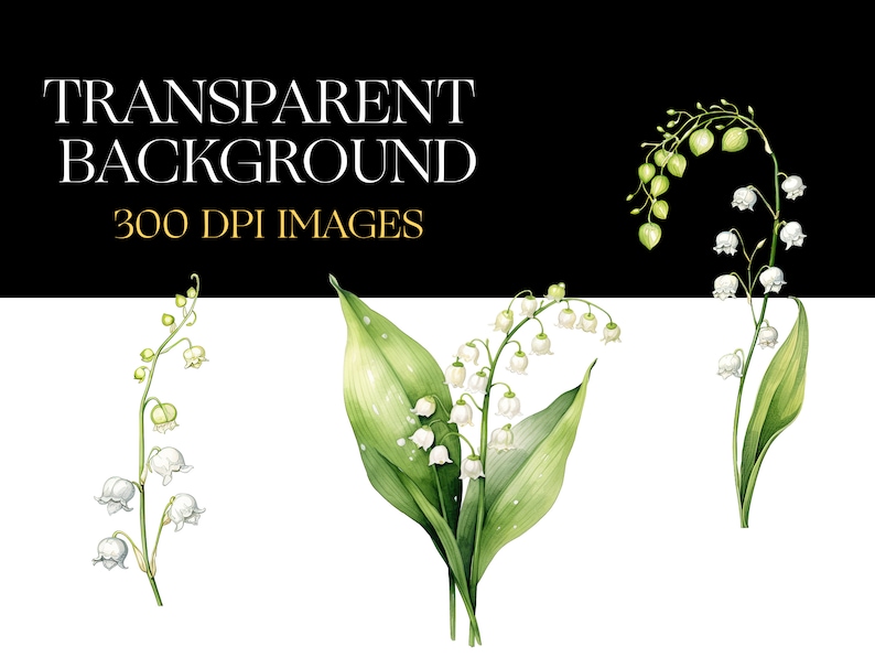 Watercolor Lily of the Valley , Flower Clipart, 36 May Birth Month ...