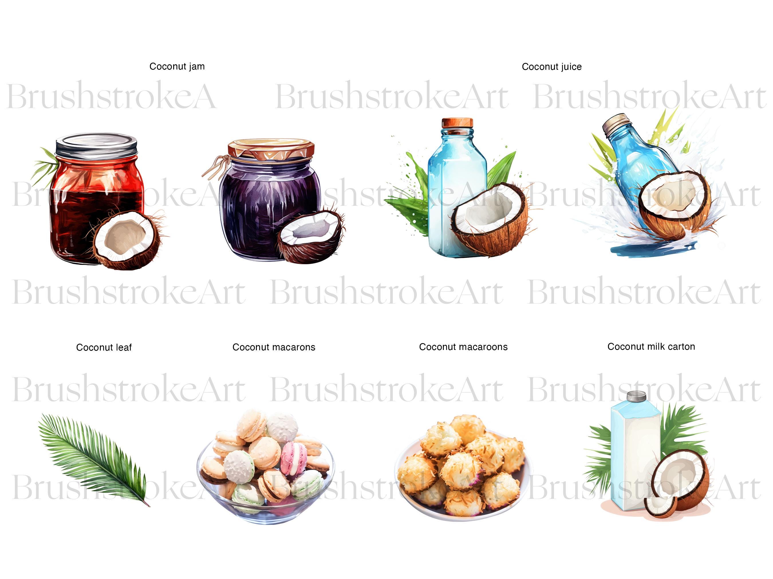 Watercolor Coconut Clipart, Tropical Fruit, Coconut PNG, Tropical Drink ...