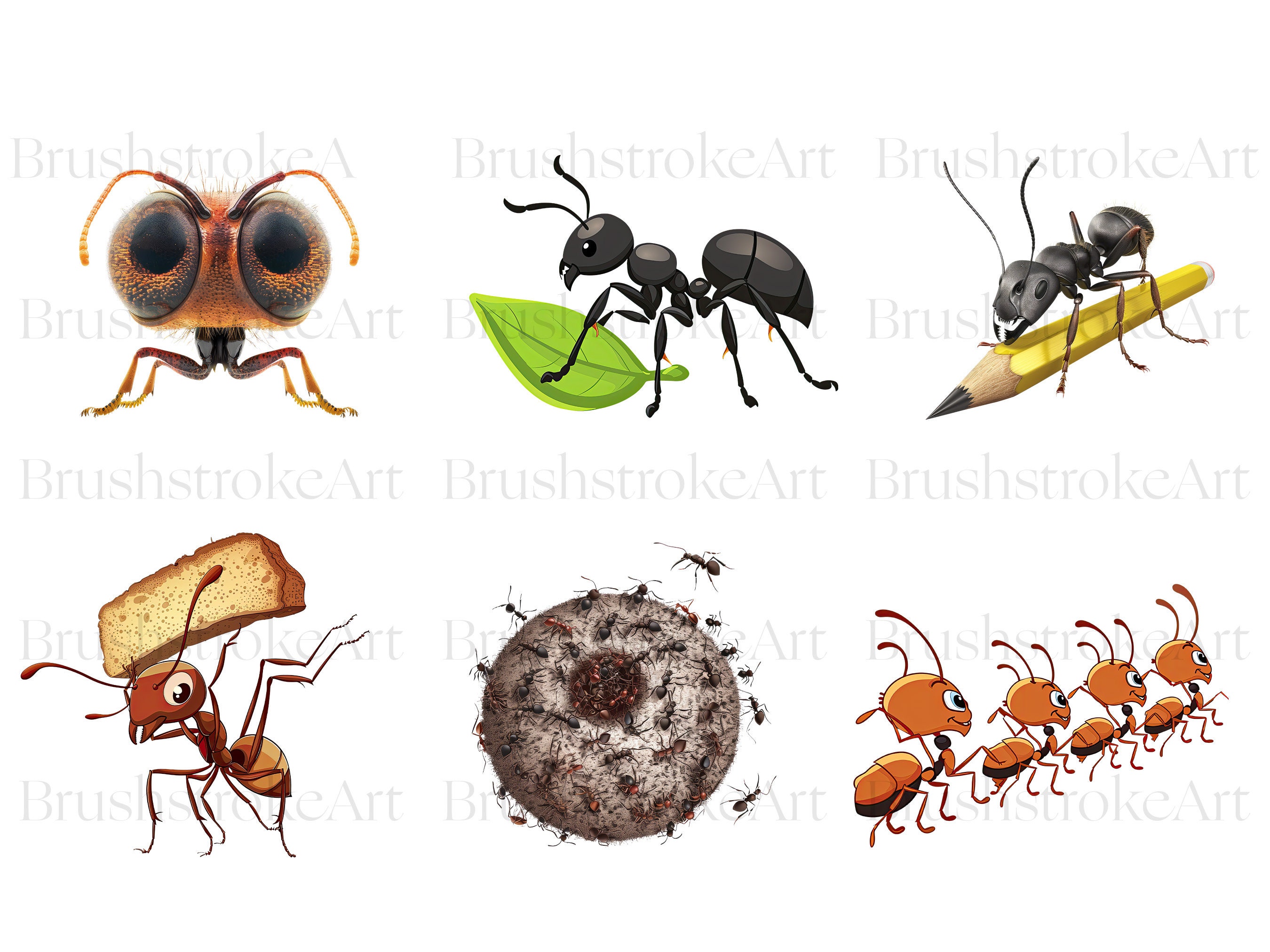 Watercolor Ants Clipart, Cute Ants Cartoon, Ant PNG, Black Ants ...
