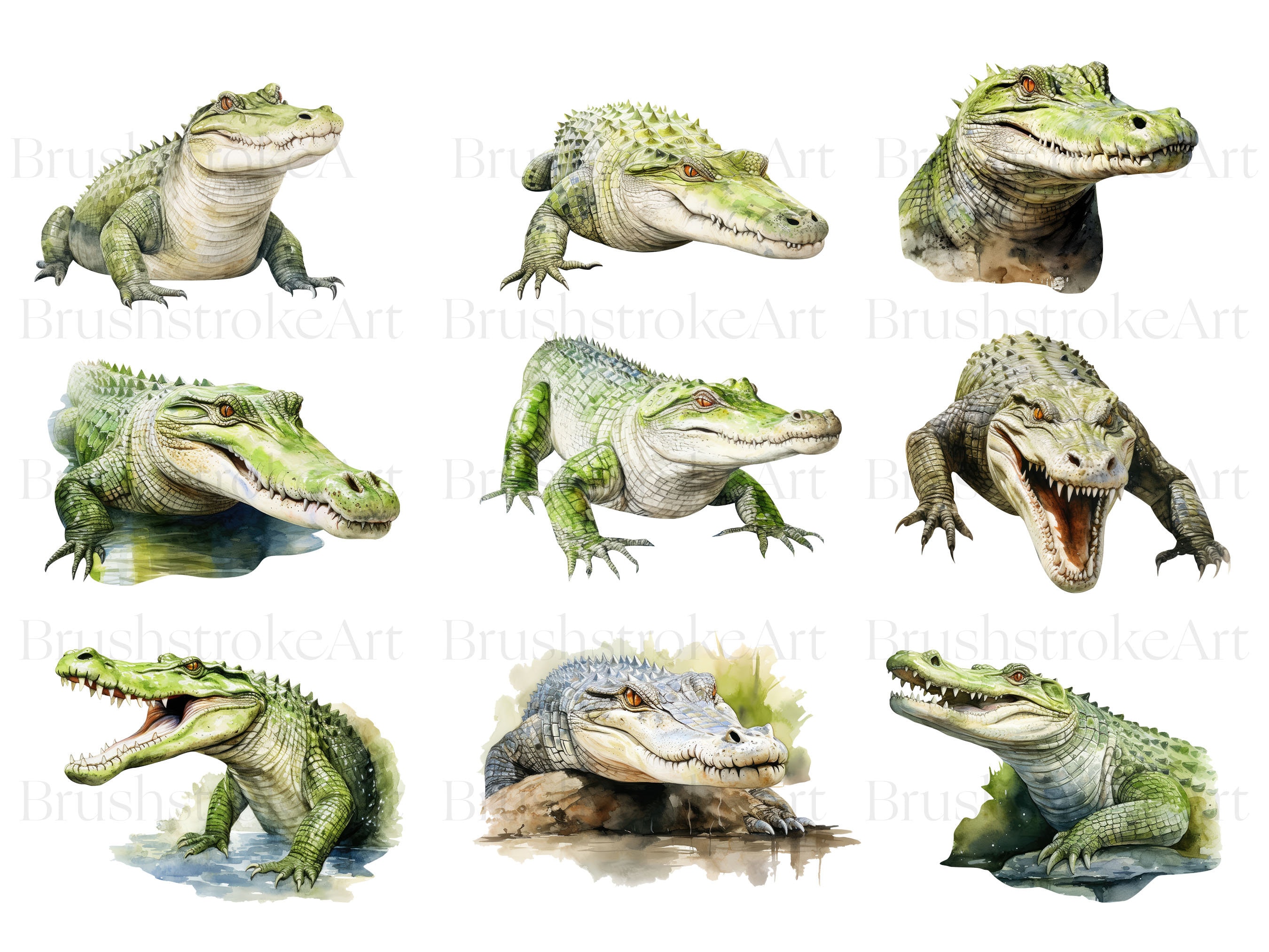 Watercolor Crocodile Clipart, Reptile, Underwater Animal PNG, Alligator ...