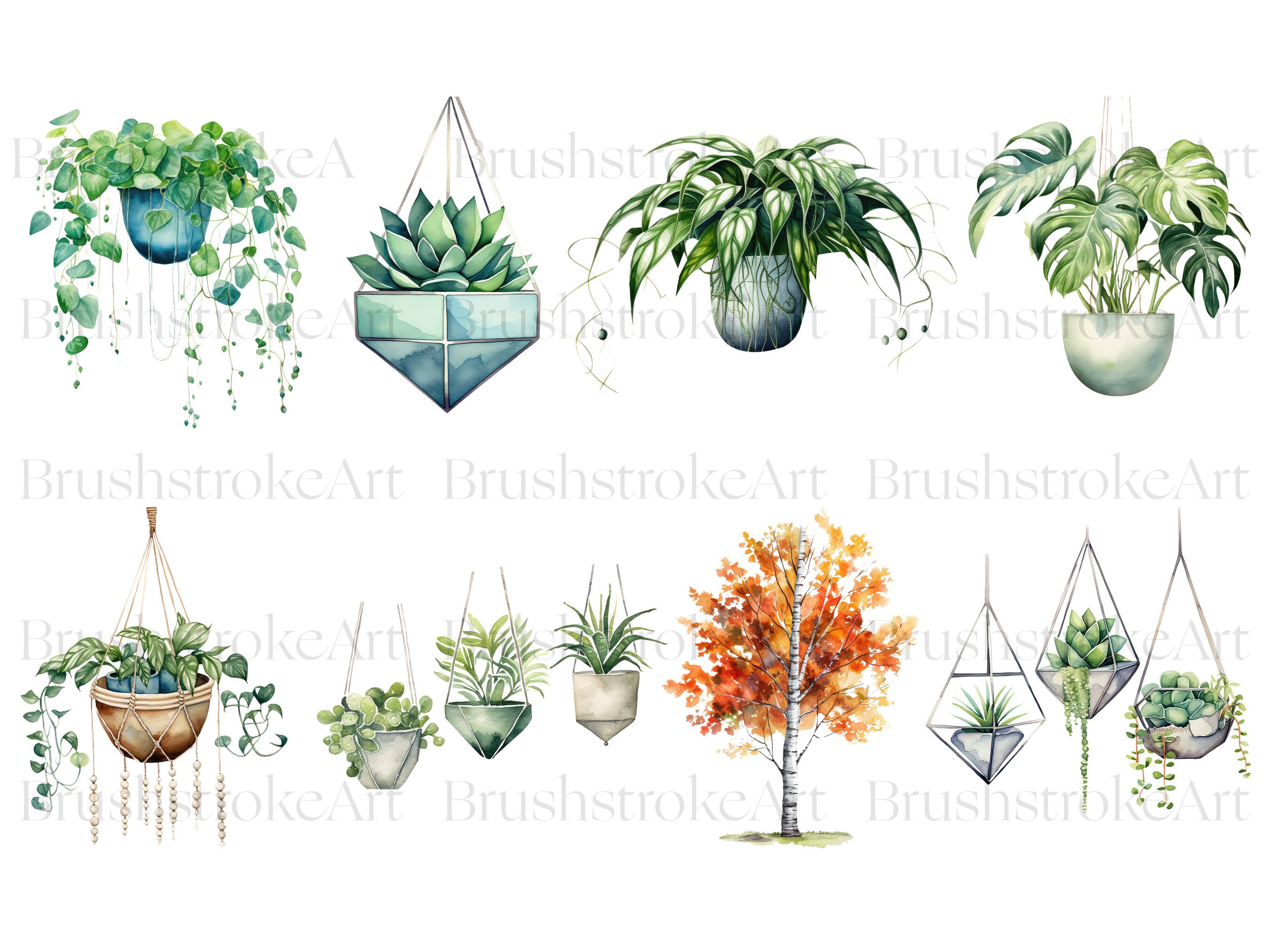 Watercolor Hanging Plants Clipart, House Plants, Potted Plants, Hanging ...