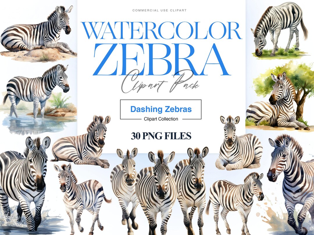 Watercolor Zebra Clipart, Safari Zebra PNG, Wild Animal Cute Zebra ...