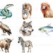 Watercolor A-Z Animals, Alphabet Zoo Animals, Fox, Bear, Lion PNG ...